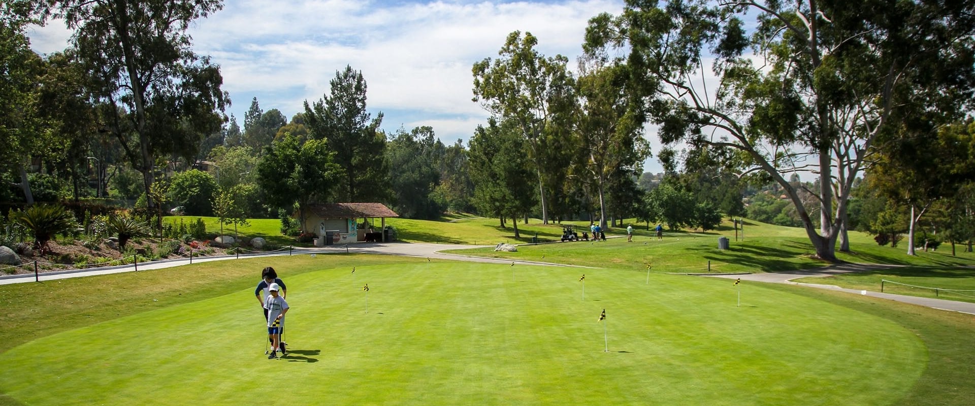 Golfing in Baldwin County: Fees and Courses